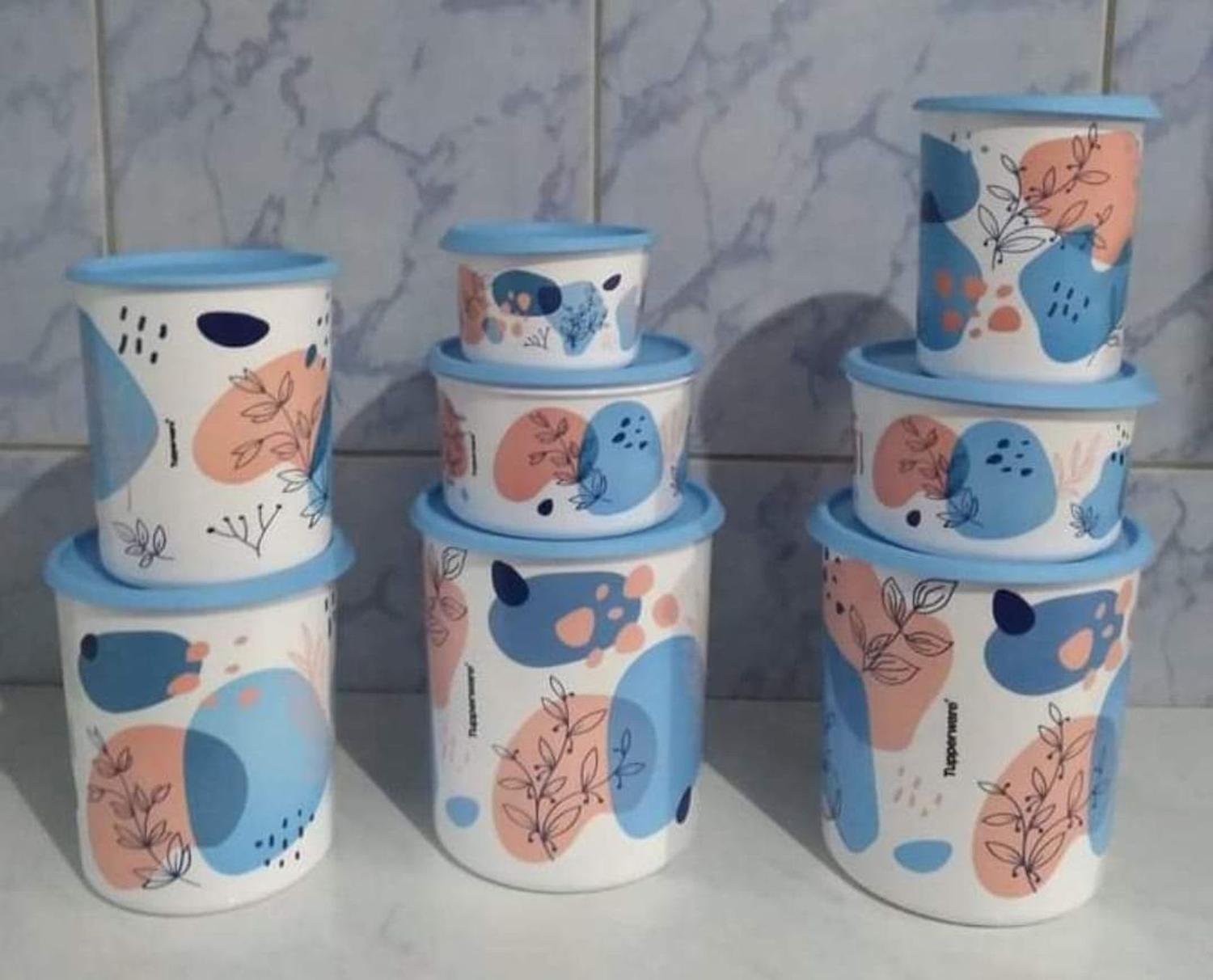 6 potes - Conjunto de instantâneas tupperware - Tapperware - Pote ...