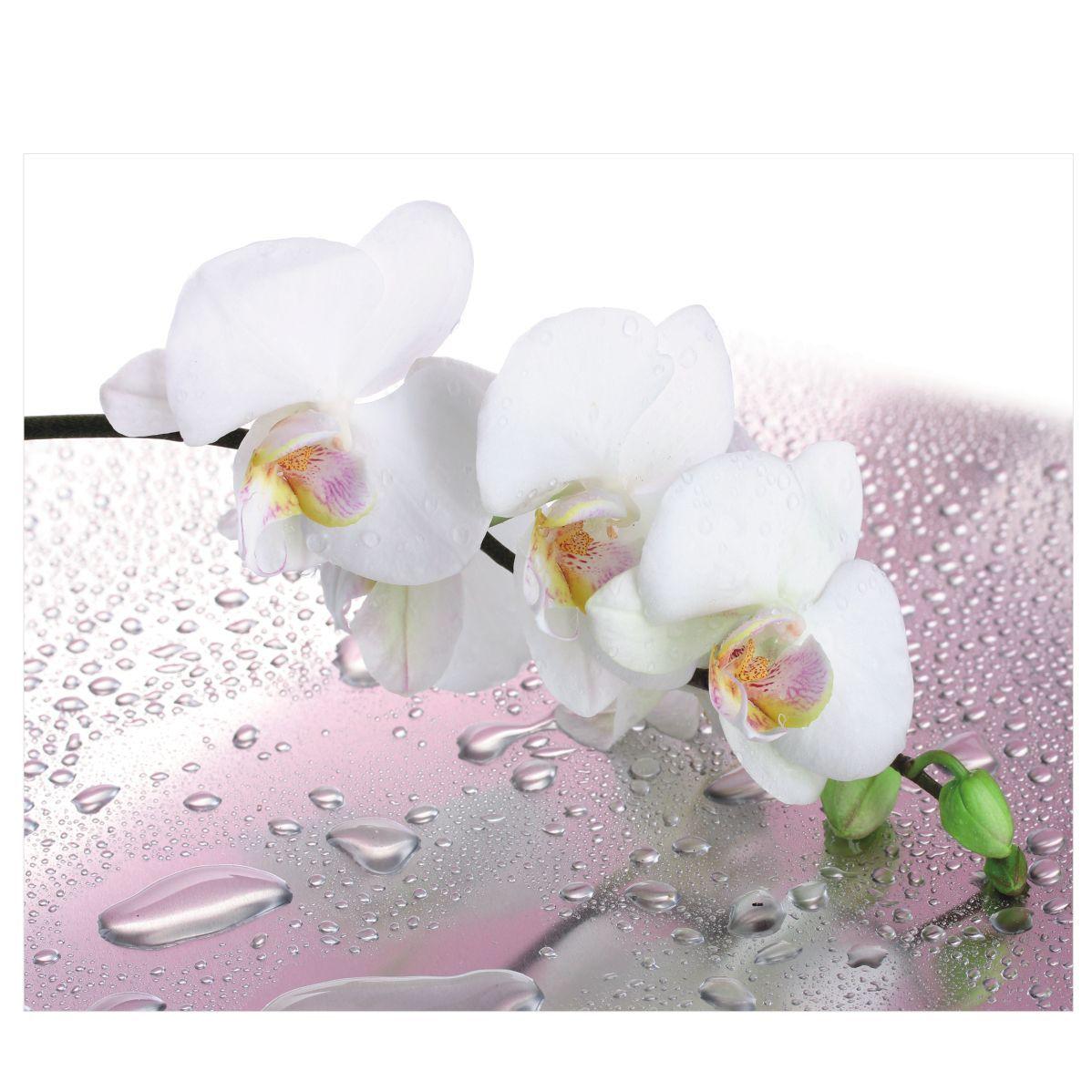Papel De Parede Hd Flores Avikalp MWZ0888 Blue White Flowers