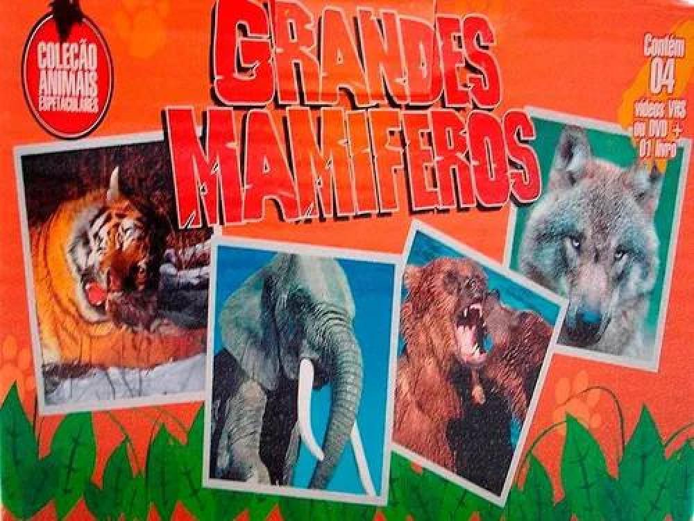 DVD - Coleção Animais Espetaculares: Grandes Mamíferos - Rexmore ...