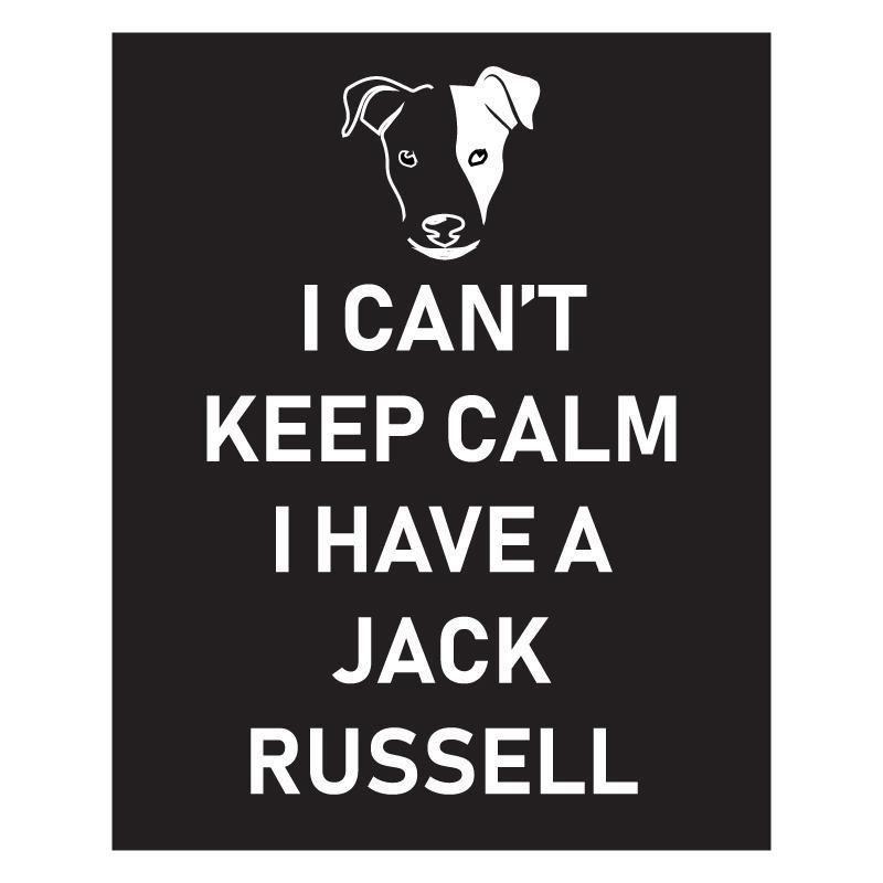 How Do You Calm A Jack Russell