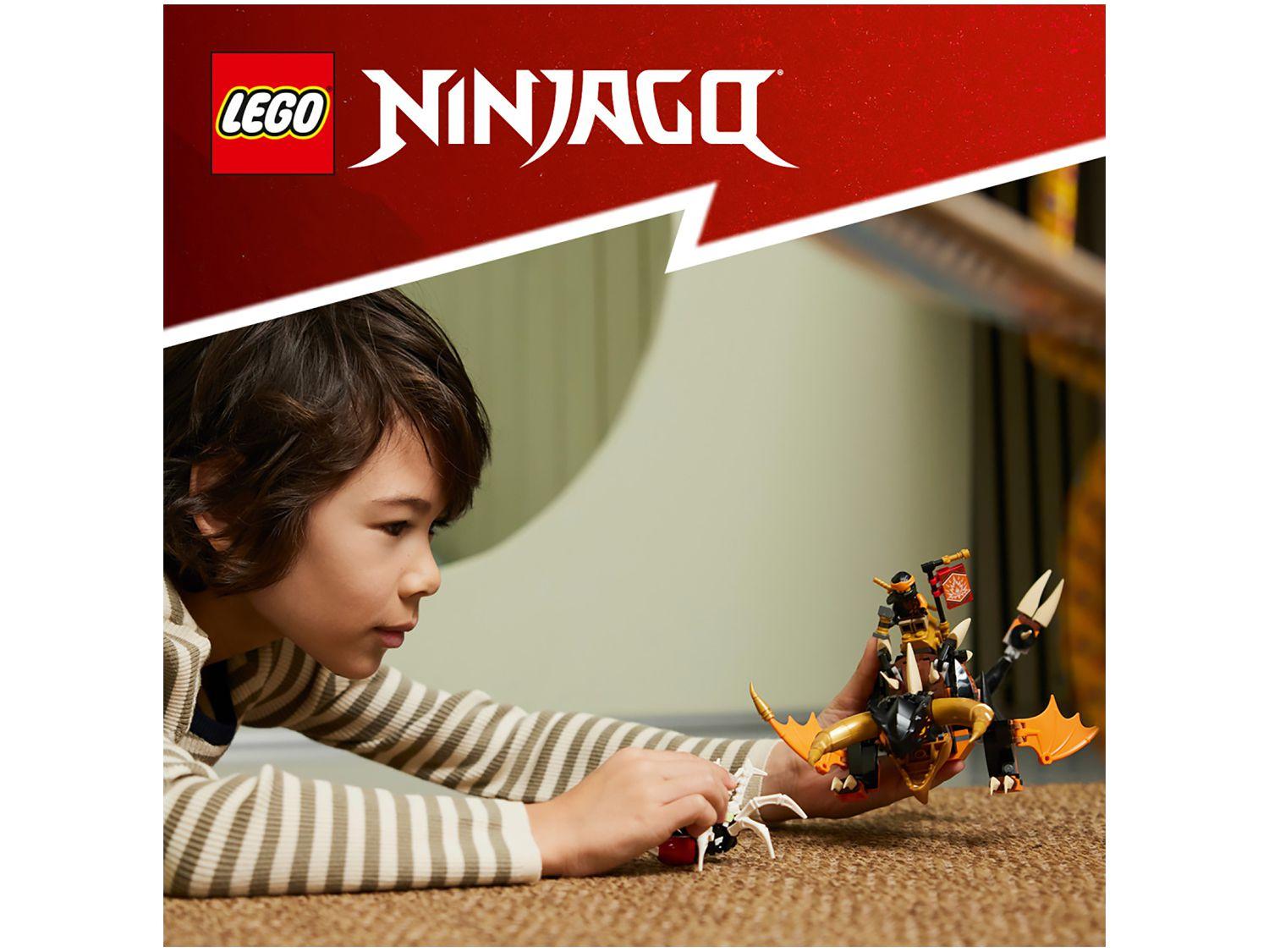 LEGO Dragão da Terra de Cole EVO 285 Peças 71782