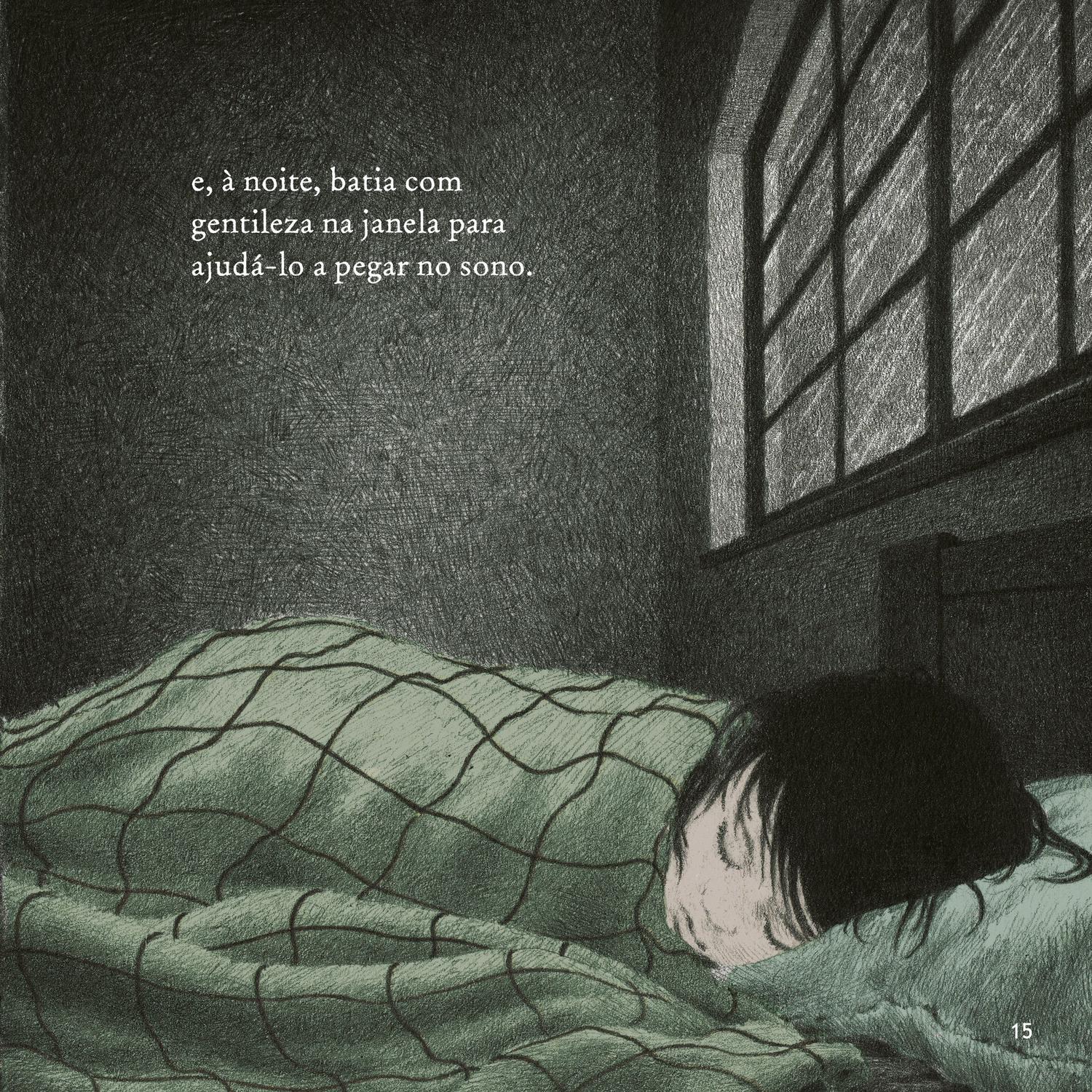 Livro - A mãe que chovia