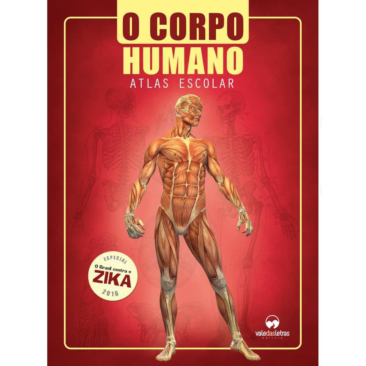Livro ATLAS Corpo Humano Escolar 32PGS - Mapas e Atlas - Magazine Luiza
