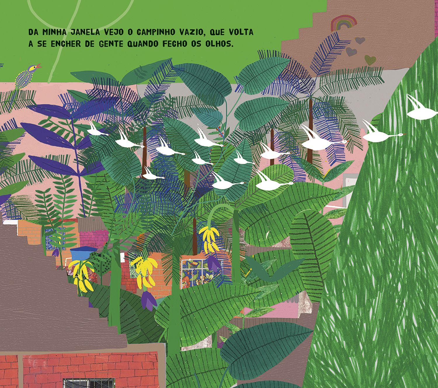 Livro - Da minha janela