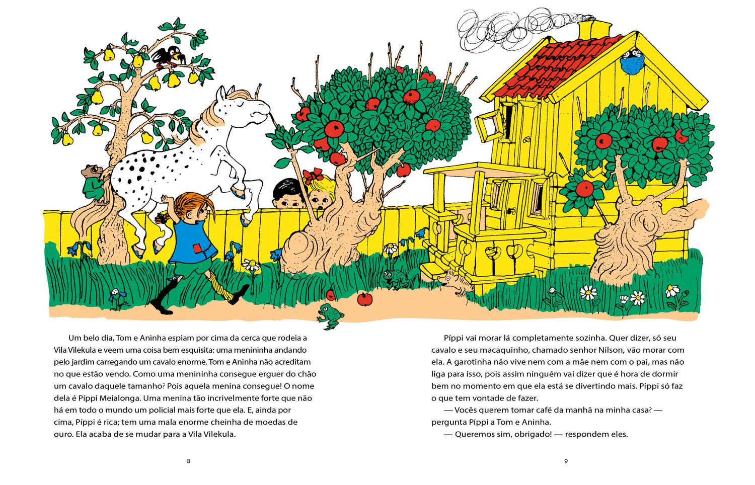 Livro - Você conhece a píppi meialonga?