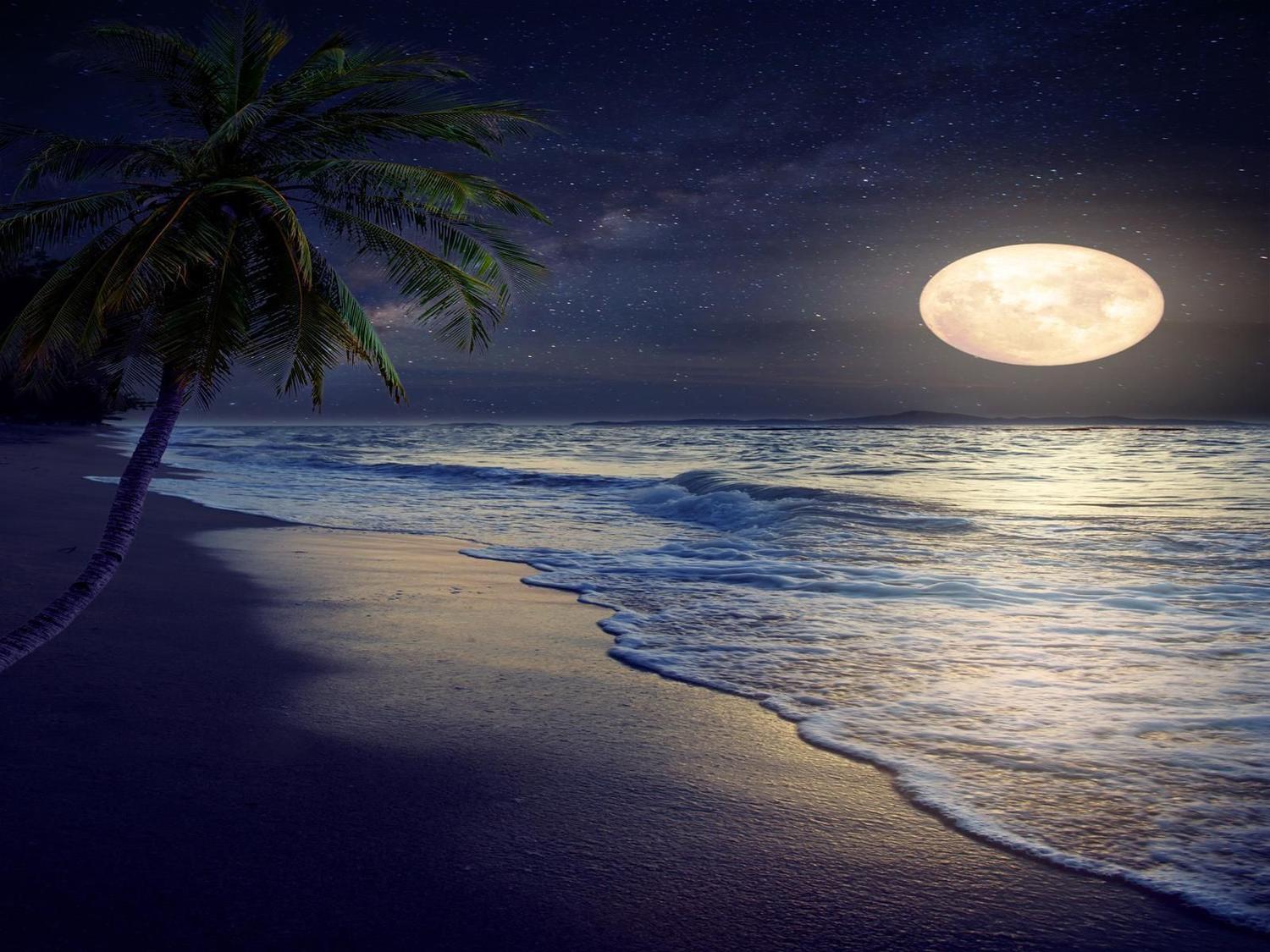 Papel De Parede Do Mar A Noite