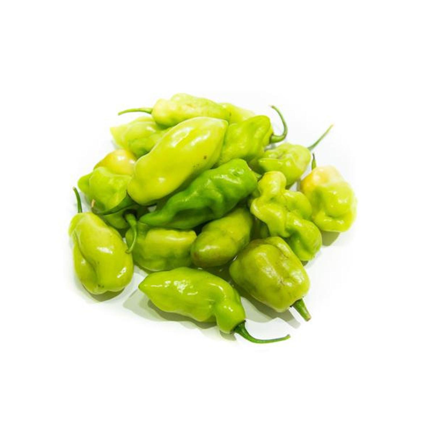 Pimenta de Cheiro Acemira - 2gr de Sementes - Isla - Sementes ...