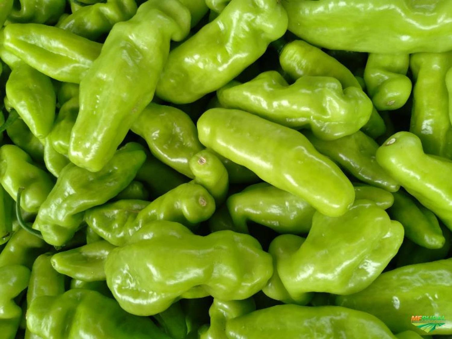 Pimenta de Cheiro Acemira - 2gr de Sementes - Isla - Sementes ...