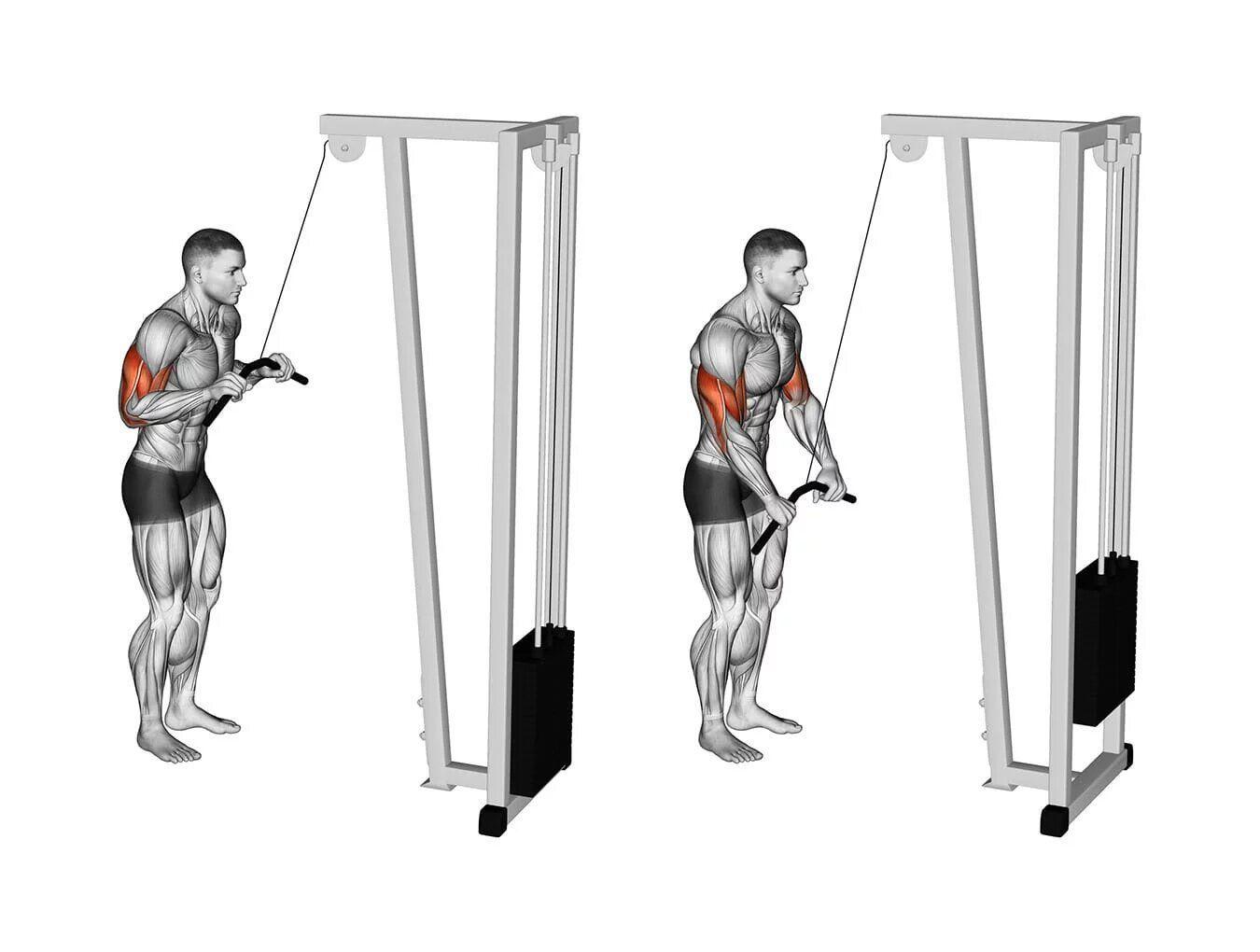 Puxador Curvo Revestido Maciço 50cm Enrijecimento Muscular - UpLift ...