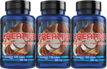 creatina - Resultado de busca ‹ Magazine Luiza
