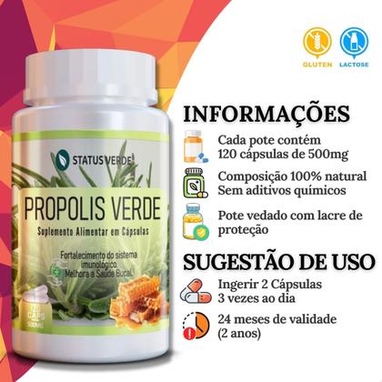 3 Potes Própolis Verde Puro Natural Kit 360 Cáps - Suplemento Natural ...
