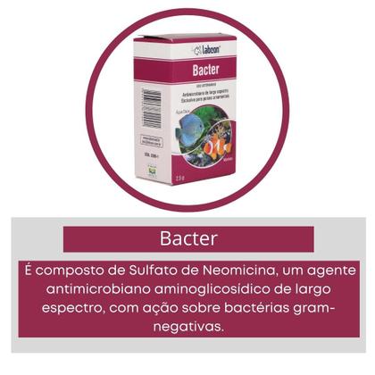 Alcon Labcon Bacter 10 Capsulas - Antibiótico Pet - Magazine Luiza