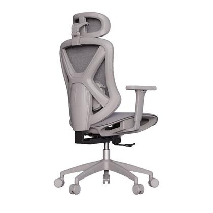 Cadeira de Escritório Ergonômica Premium com Apoio Lombar Ajustável ...