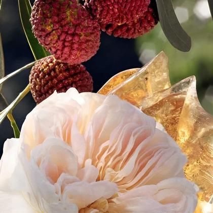 Chloé Signature Eau de Parfum Refillable - Perfume Feminino 100ml ...