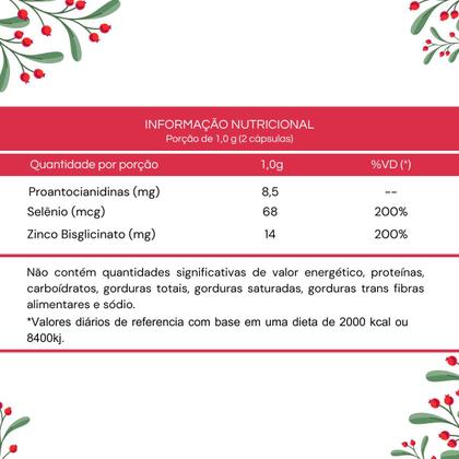 Cranberry Suplemento Fruta Natural Concentrado 500mg Extrato Seco Zinco ...