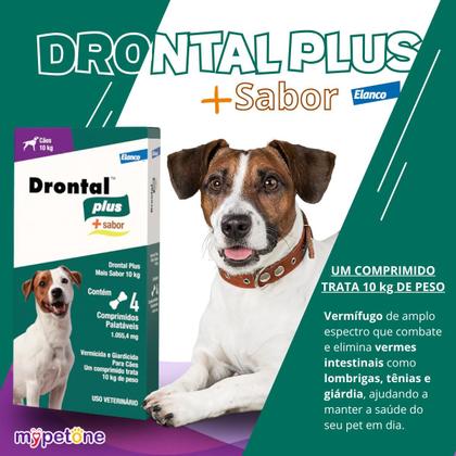 Drontal Plus Cães 10Kg Elanco - 4 Comprimidos - Vermífugo Pet ...