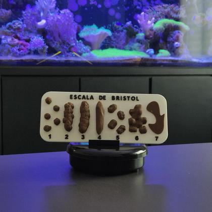 Escala De Bristol Com Suporte Tabela Fezes Cocô 3D Números - Pupa 3D ...
