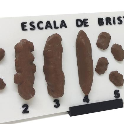 Escala De Bristol Com Suporte Tabela Fezes Cocô 3D Números - Pupa 3D ...