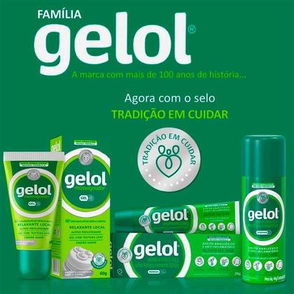 Gelol Pomada Analgésica 20g - Livros de Saúde e Bem Estar - Magazine Luiza