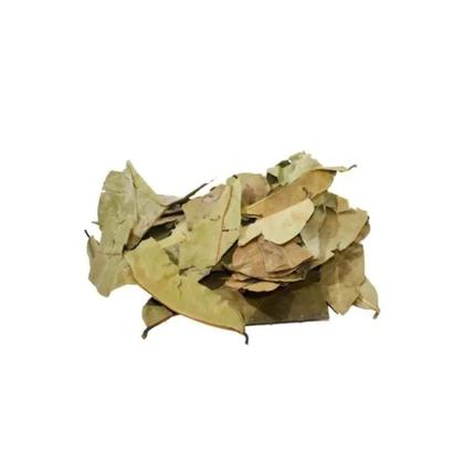 Graviola Folha 1kg (Erva Desidratada) - Magnata das Ervas - Alecrim ...