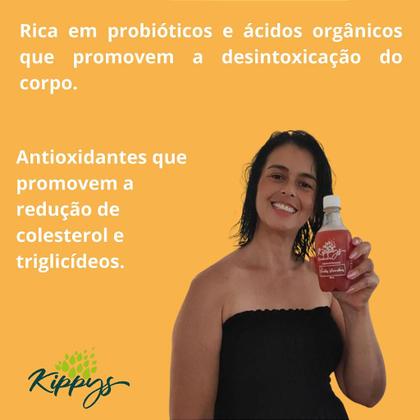 Kombucha - Chá fermentado probiótico - bebida gaseificada naturalmente ...