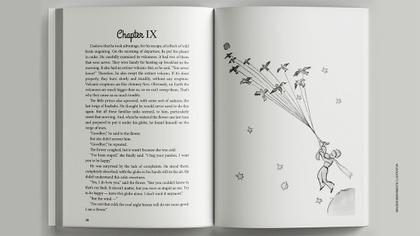 Livro - The Little Prince - Livros de Literatura Infantil - Magazine Luiza