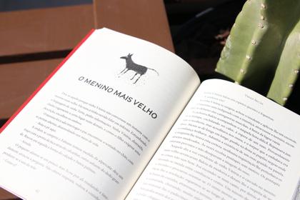 Livro - Vidas secas - Livros de Literatura - Magazine Luiza