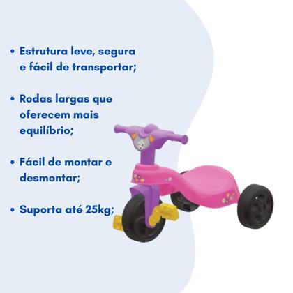 Triciclo Motoca Velotrol Infantil Passeio Azul Rosa Menino Menina Sem ...