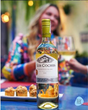 Vinho Los Coches Sauvignon Blanc Branco Seco 750mL - Chile - Vinho ...