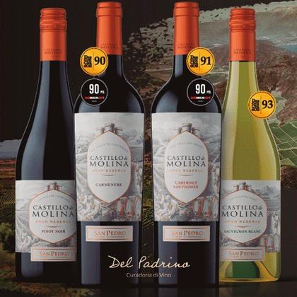 Vinho Tinto Chileno Castillo De Molina Gran Reserva Pinot Noir - Viña ...