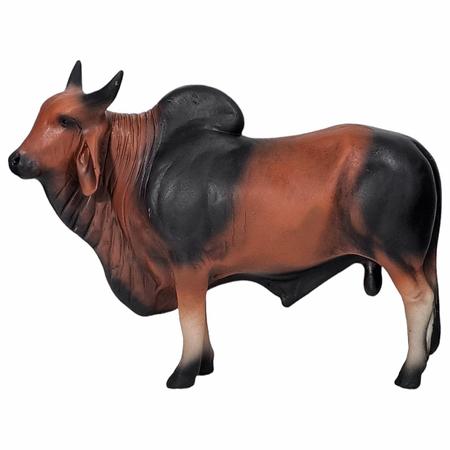 Diferença entre boi e touro 4 O boi é o macho da vaca que foi ...