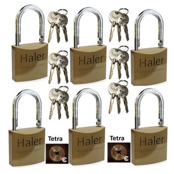 06 X Cadeado Haler Tetra 63mm Robusto Antifurto Haste Inox Cimentada ...