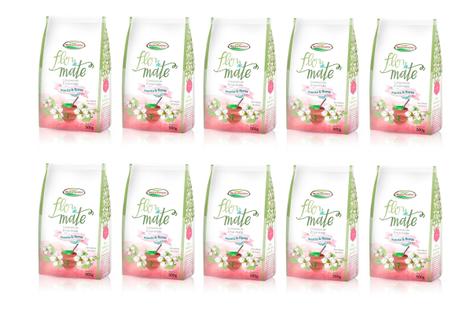 10 Erva Mate Chimarrão SCHNEIDER FLOR DE MATE Menta 500g - Erva Mate ...