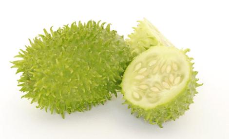 100 Sementes De Maxixe do norte - SEEDS - Sementes - Magazine Luiza