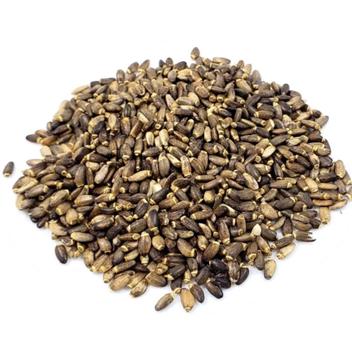 100 sementes naturais de cardo mariano para plantio - Vicari Seeds ...