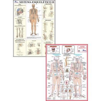 2 Mapa Corpo Humano Sistema Esquelético 1 E 2 - 120cmx 90cm - SPMIX ...