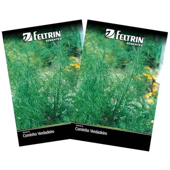 2X Sementes de Cominho Verdadeiro FELTRIN - Sementes - Magazine Luiza