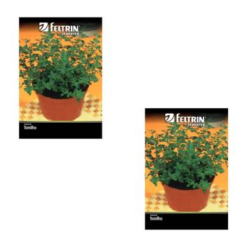 2X Sementes de Tomilho/Timo FELTRIN - Sementes - Magazine Luiza