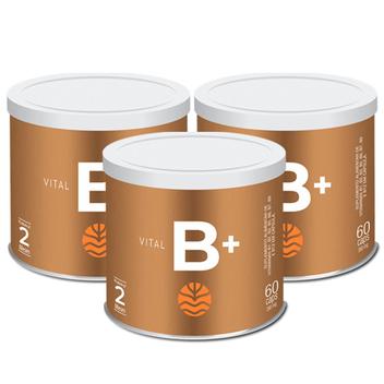 3x Vital B+ Complexo De Vitaminas Vital Âtman 60 Cápsulas - Complexo B ...
