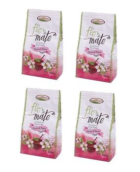 4 Erva Mate Chimarrão SCHNEIDER FLOR DE MATE Menta 500g - Erva Mate ...