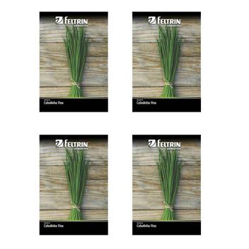 4X Sementes de Cebolinha Verde Fina FELTRIN - Sementes - Magazine Luiza