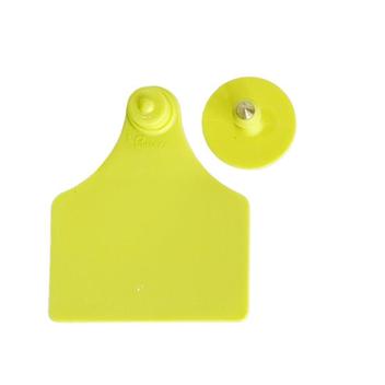 50 Brincos Grandes Amarelos Lisos Para Gado Bovinos Vaca - Primaza ...