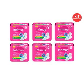 Absorvente Intimus Tripla Proteçao Com8 Seca Com Abas - 6Un ...