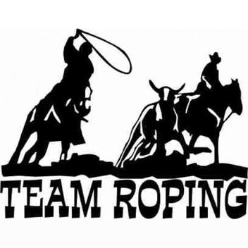 Adesivo Team Roping SV2048 - Preto - Selaria Vertentes - Outros ...