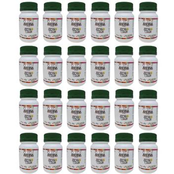 Adoçante Stévia 40g Color Andina 100% Natural 24 Potes - Color Andina ...