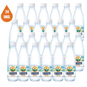 Água Mineral Lindoya Verão S/g - 300Ml - Água Mineral - Magazine Luiza