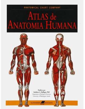 Anatomical Chart Company - Atlas da Anatomia Humana - GUANABARA KOOGAN ...