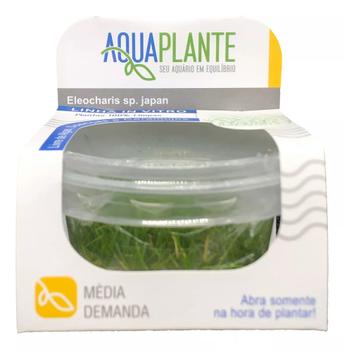 Aquaplante Plantas In Vitro - Eleocharis Japan - Plantas Naturais ...