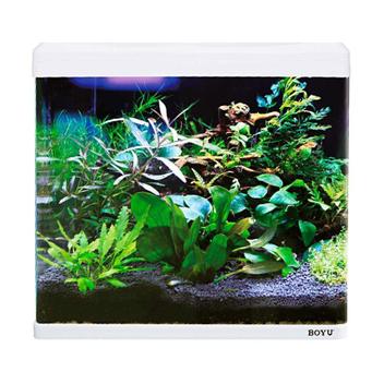 Aquário Boyu Curvo EC 600 66 Litros Branco - 127V - Aquário - Magazine ...