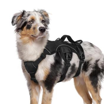 Arnês para cães rabbitgoo Escape Proof Full Body M Black - Peitoral ...